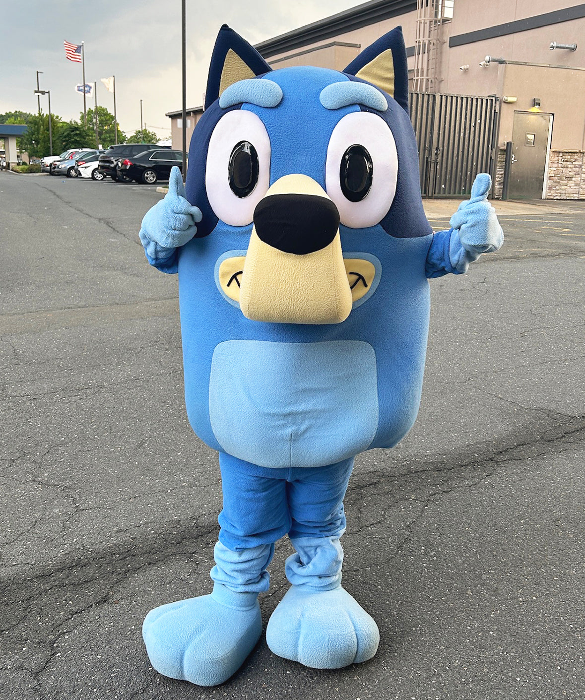Bluey – Costume Pals
